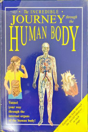 The Incredible Journey Through The Human Body | The Treasure Trove ...